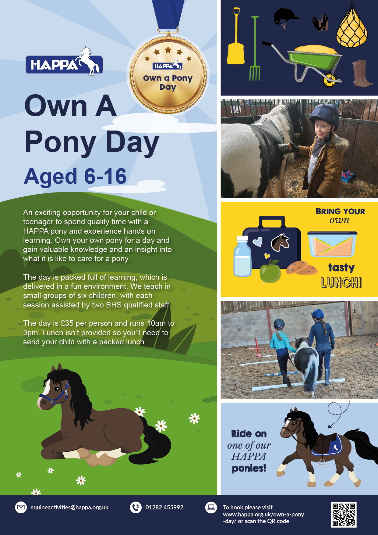 Own A Pony Day » Horses And Ponies Protection Association | HAPPA