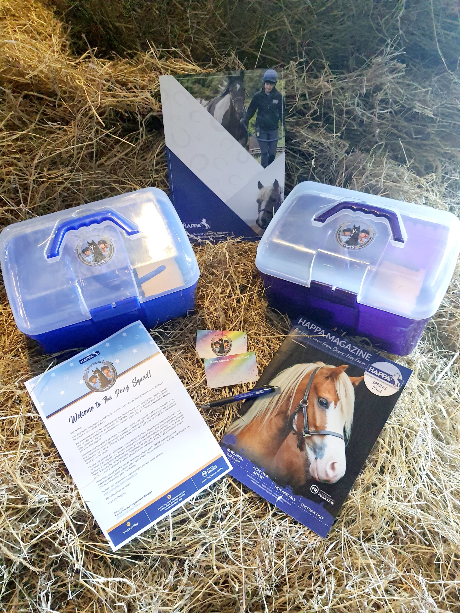 About HAPPA » Horses And Ponies Protection Association | HAPPA