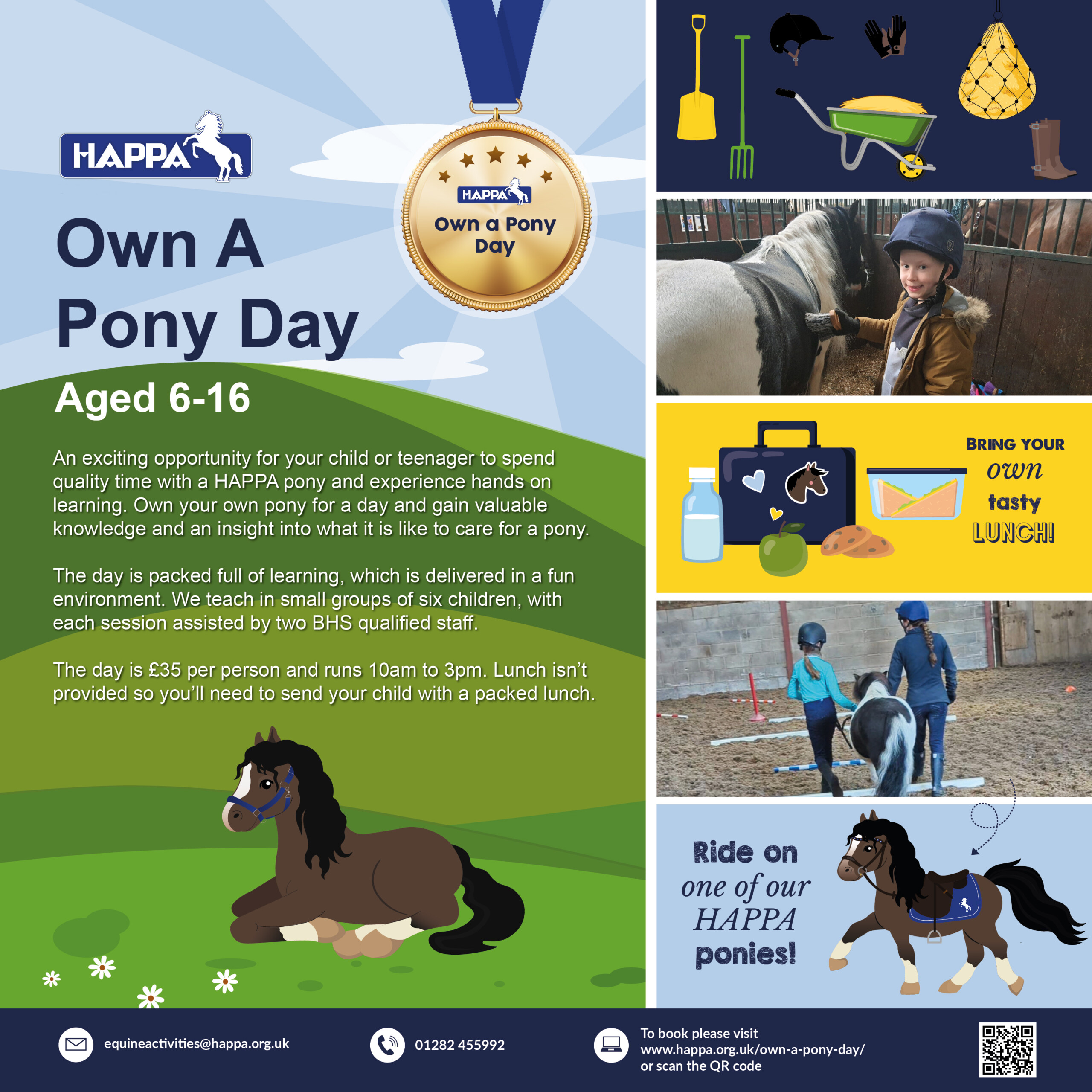 Own A Pony Day » Horses And Ponies Protection Association | HAPPA