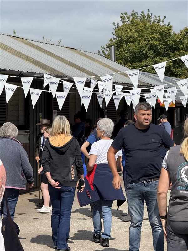 Festival of the Horse: A Huge Success for HAPPA » Horses And Ponies ...