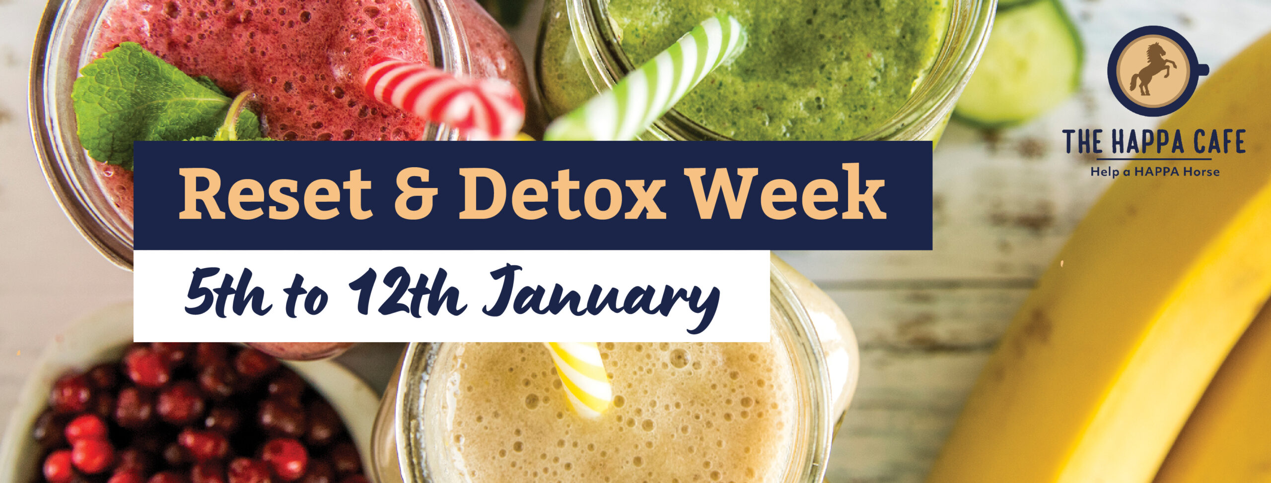 Reset & Detox Week » Horses And Ponies Protection Association | HAPPA
